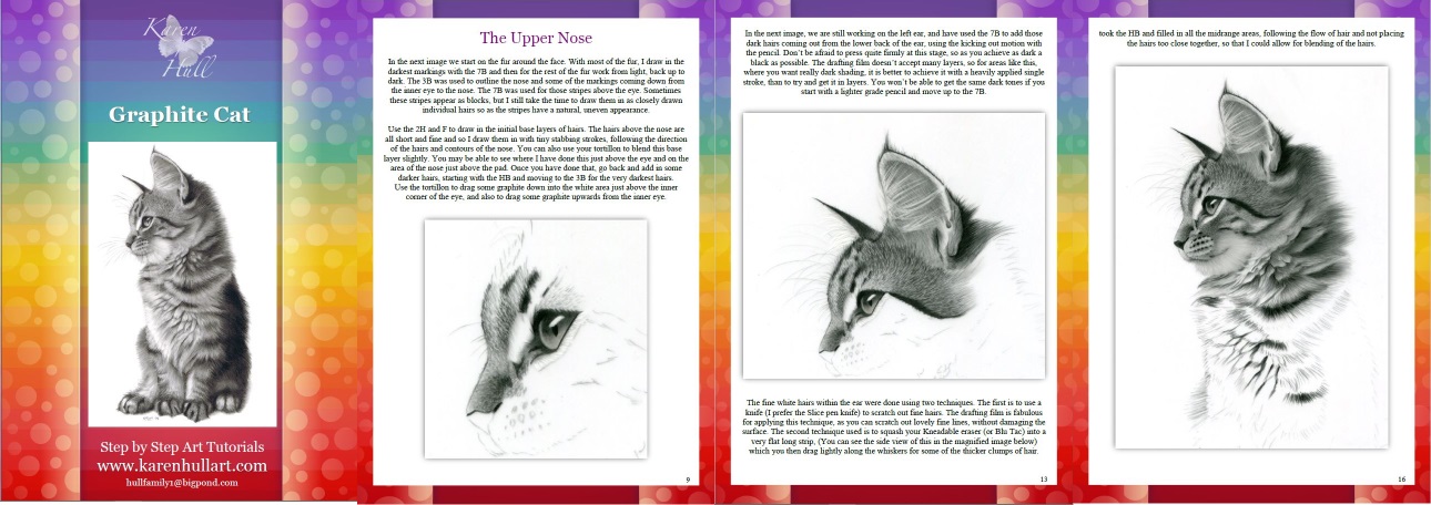 Graphite Cat on Drafting film Tutorial