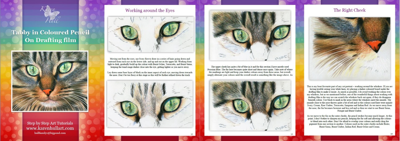 Tabby in Coloured Pencil on Drafting film Tutorial